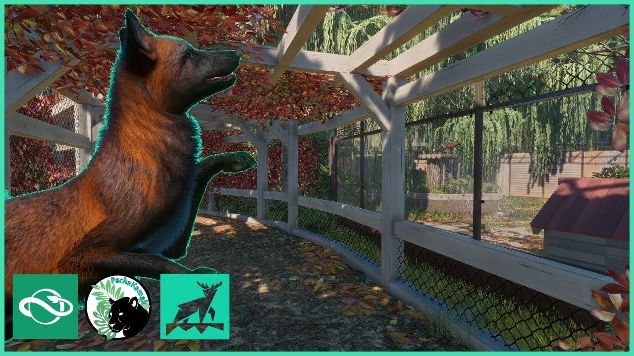 The not so RED gray FOX | Raven Creek Park | Planet Zoo | #46 - YouTube