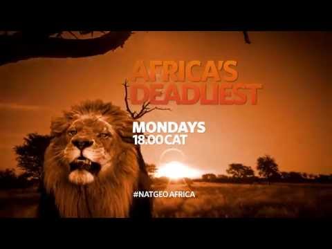 Africa's Deadliest