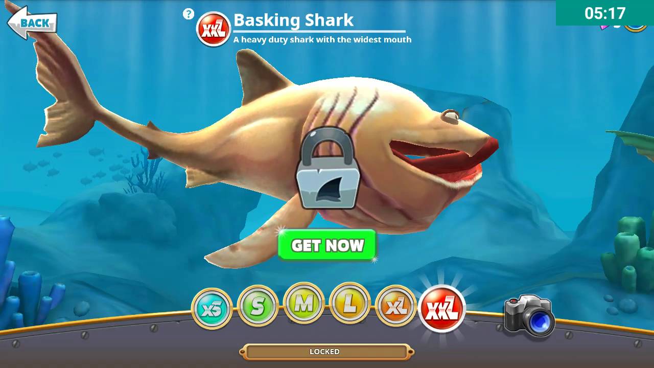 Run!! Shark!!! - YouTube