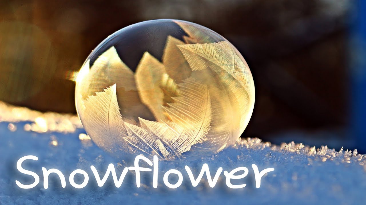 6. Snowflower(눈꽃) - YouTube