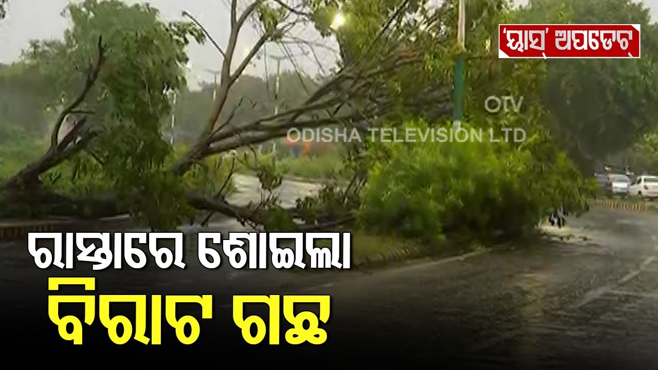 Cyclone Yaas- Heavy Rain Lashes Paradip, Trees Uprooted - YouTube