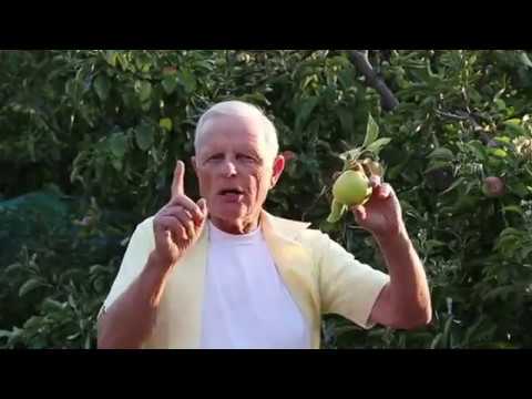 Joe Sabol Why Learn to Graft Fruit - YouTube