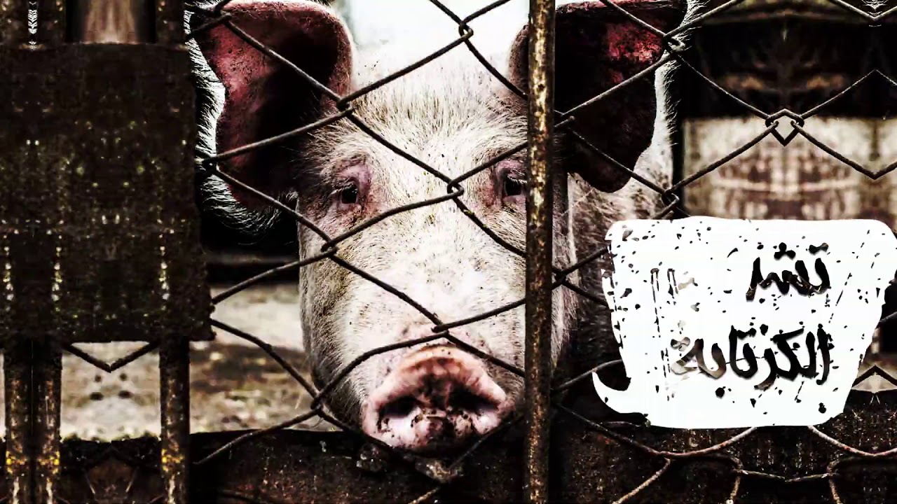 New clip form ZNOUS band تسعين بالمية - YouTube