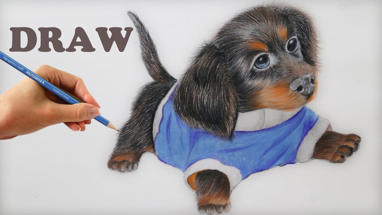 draw a super cute dog with crayons - YouTube
