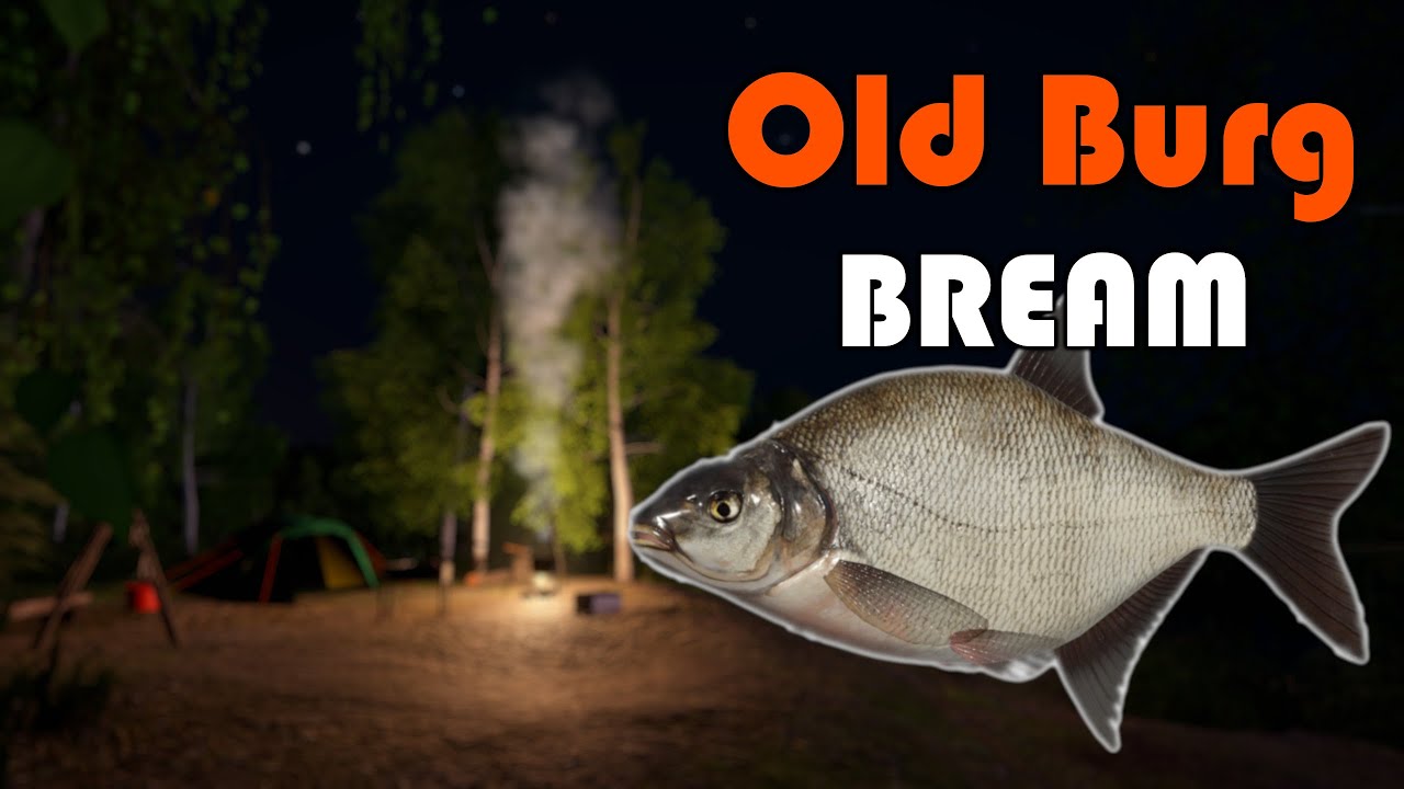 Old Burg Lake Bream Brasse Leszcz | RF4 SPOT #175 - YouTube