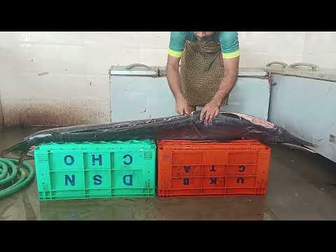 olakudiyan fish cutting - YouTube