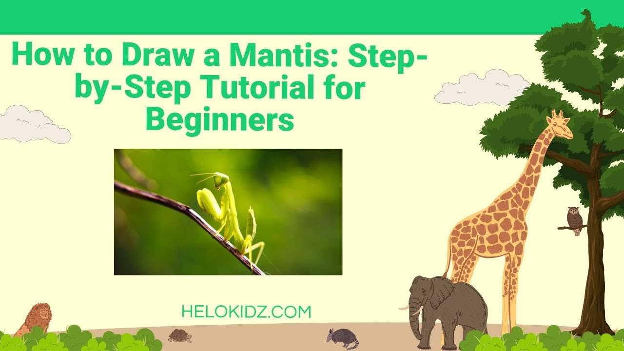How to Draw a Mantis: Step-by-Step Tutorial for Beginners| Helokidz.com - YouTube