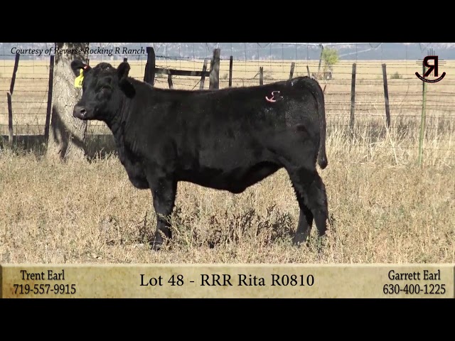 Reverse Rocking R Ranch