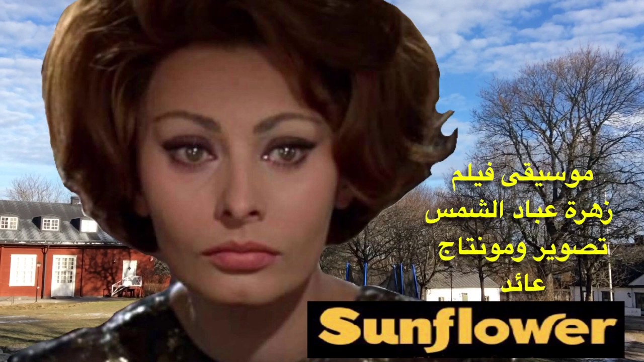 sunflower . sophia loren - YouTube