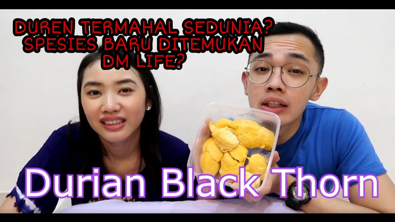 DUREN BLACK THORN, Lebih MAHAL dari MUSANG KING !! Jutaan! - YouTube