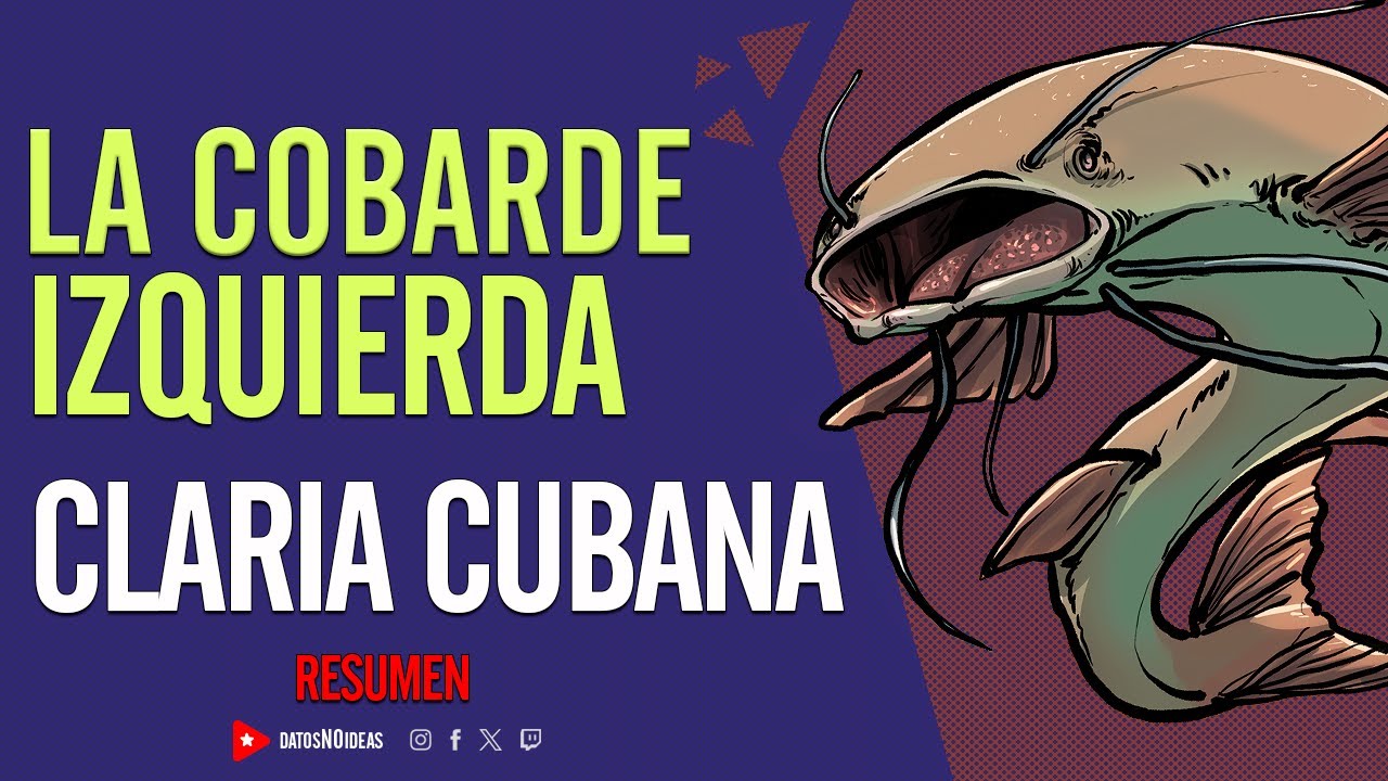 💪 La cobarde izquierda. Claria cubana 💪 - YouTube