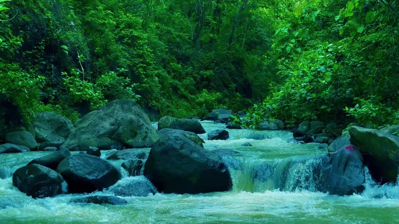 Relaxing River Sounds Beautiful Nature Water Sounds For Deep Sleep For Meditation Ambient music ...
