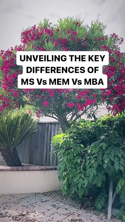 What is the difference between MS Vs MEM Vs MBA? #masters #degree # ...