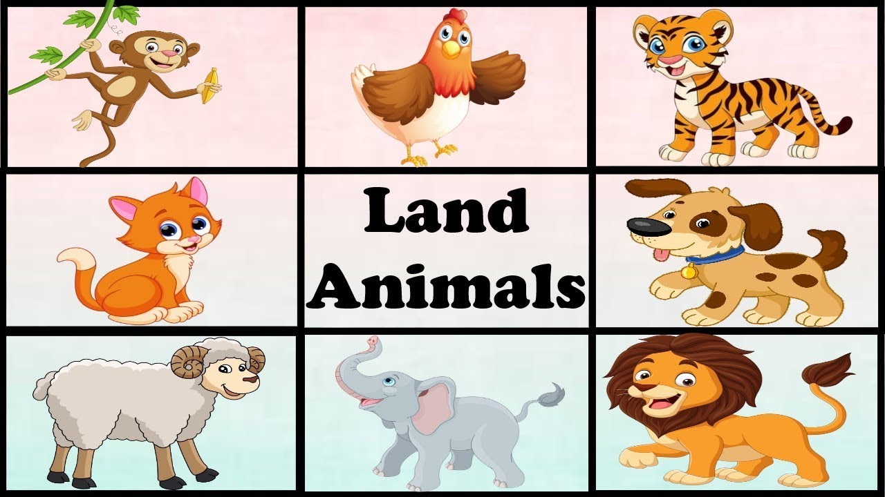 Land Animals | जमीन पर रहने वाले जानवर | Kids Vocabulary - YouTube