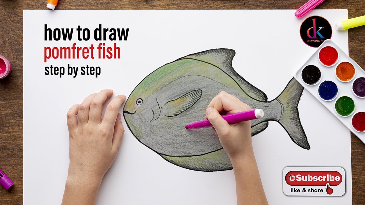 How to draw pomfret step by step | Drawing Key - YouTube
