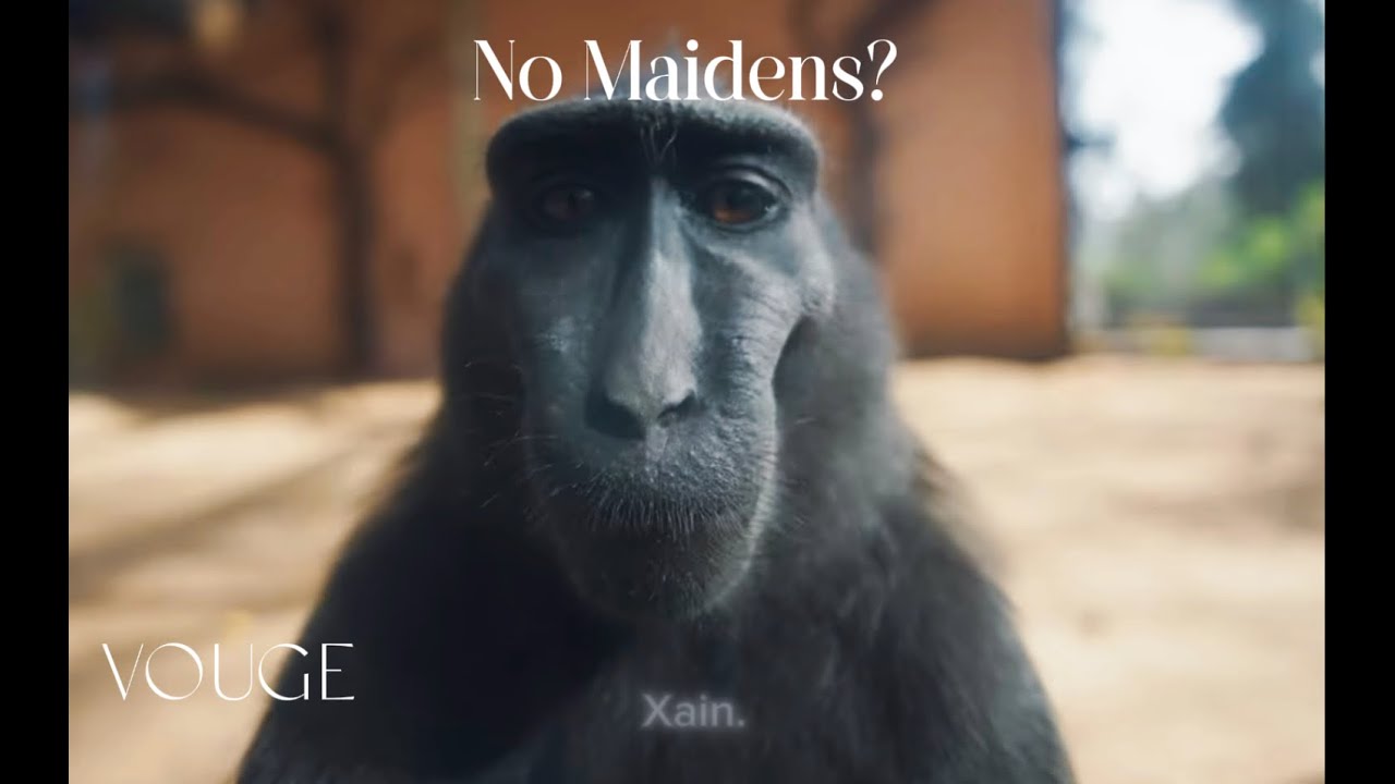 Mog Chronicles Edit/AMV - YouTube