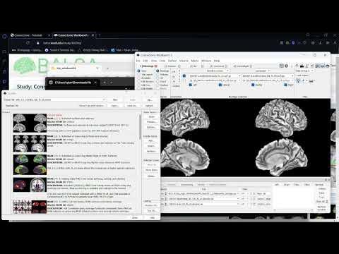 Human Connectome: Downloading and Using Data - YouTube