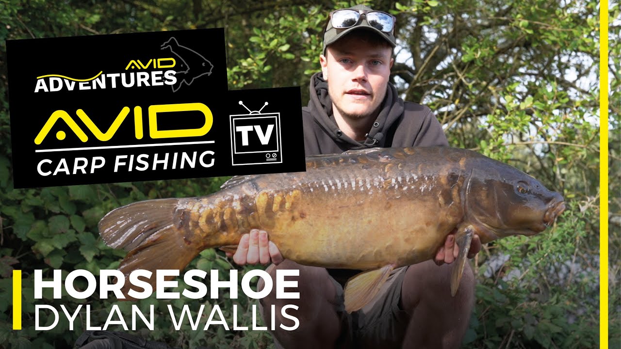 Avid Carp Fishing TV! | Avid Adventures | Vol.11 | Horseshoe Lake - YouTube
