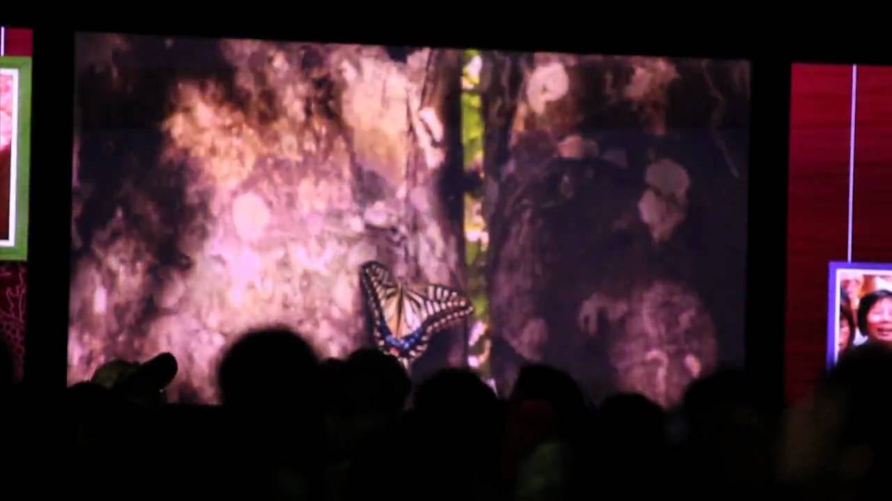 Canon Wonder Camera Concept displayed at Expo 2010 - YouTube