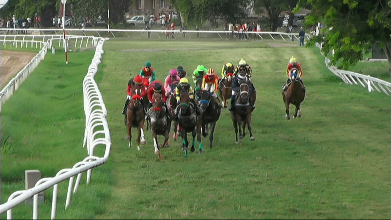 BTC RACE DAY 18 SEPTEMBER 2021 RACE 8 - YouTube