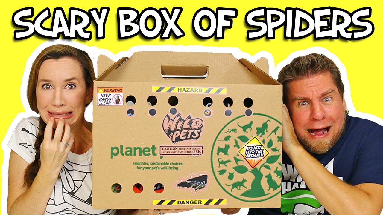 Moose Mystery Box Of Wild Pets Spiders - YouTube