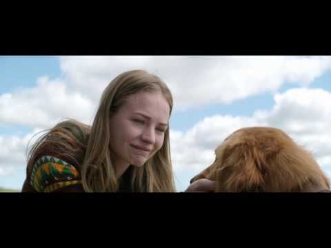 A Dog’s Purpose | Trailer | Own it now on Blu-ray, DVD & Digital