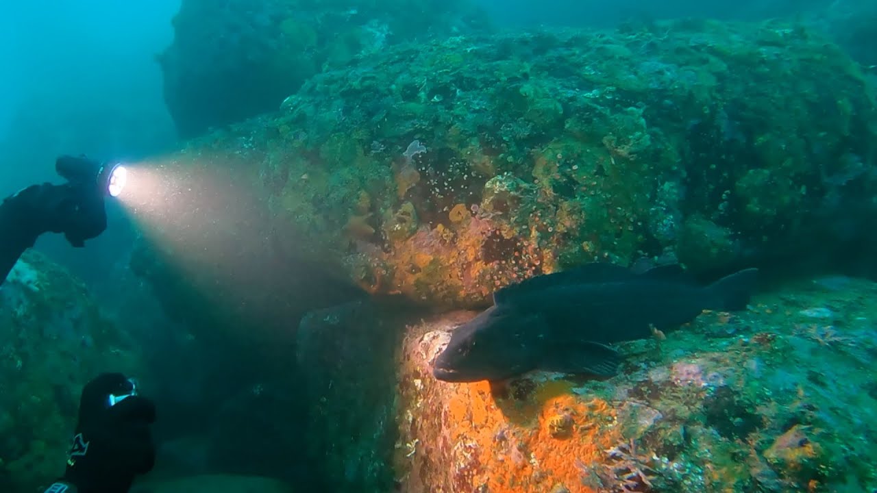 N Monastery Dive (12-14-23) - YouTube