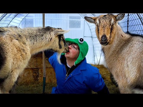 Patron Pays Me $250 to CLEAN HIS HOUSE!!!