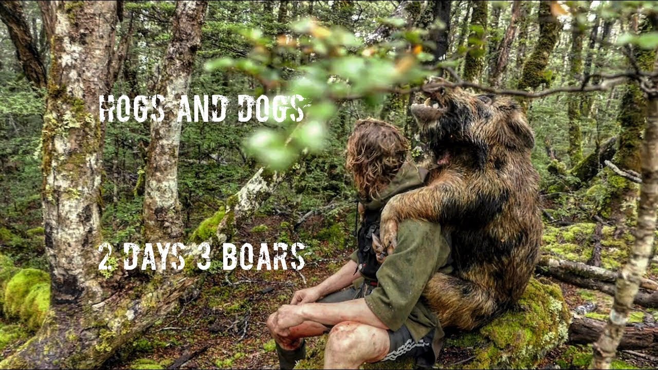 Knives, Dogs and Gnarly Hogs | Hunting Wild Pigs in New Zealand - YouTube