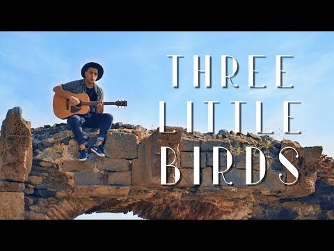 Erhan Culuk - Three Little Birds ( Bob Marley & The Wailers cover)