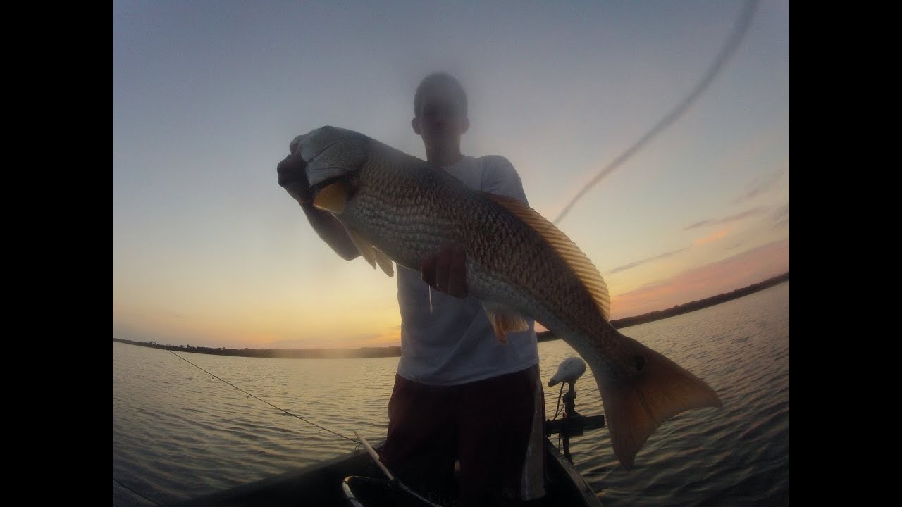 Shallow Water 30 Inch Redfish on Light Tackle! - YouTube