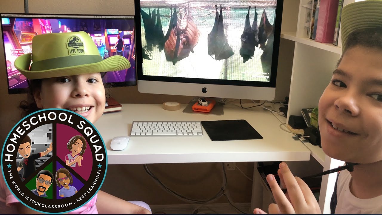 Going on Safari a virtual field trip to see animals - YouTube