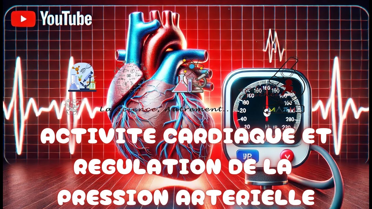 (TleS/SVT) 📽 SYNTHESE DU COURS ACTIVITE CARDIAQUE ET PRESSION ...