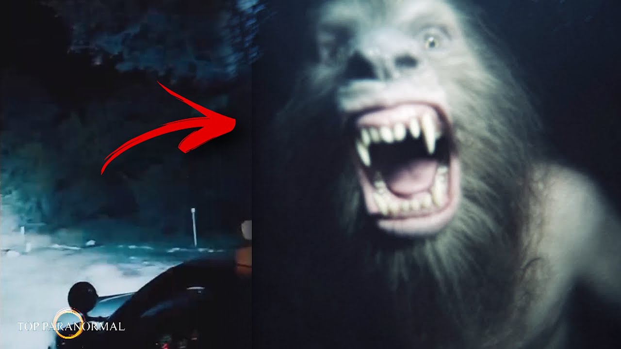 Sucedió en las Montañas Apalaches, 5 Videos de TERROR REAL en 2025 ...