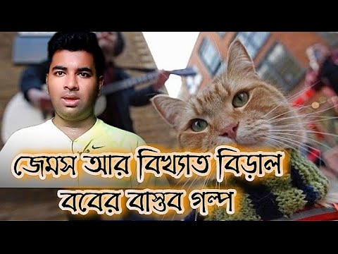 বিখ্যাত বিড়াল ও স্ট্রিট সিংগার জেমসের বাস্তব গল্প||James & Bob||Cat ...