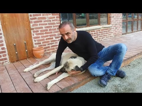 Yılmaz Erdoğan - Aşkın ve Kırgınlığın Her Pazartesi