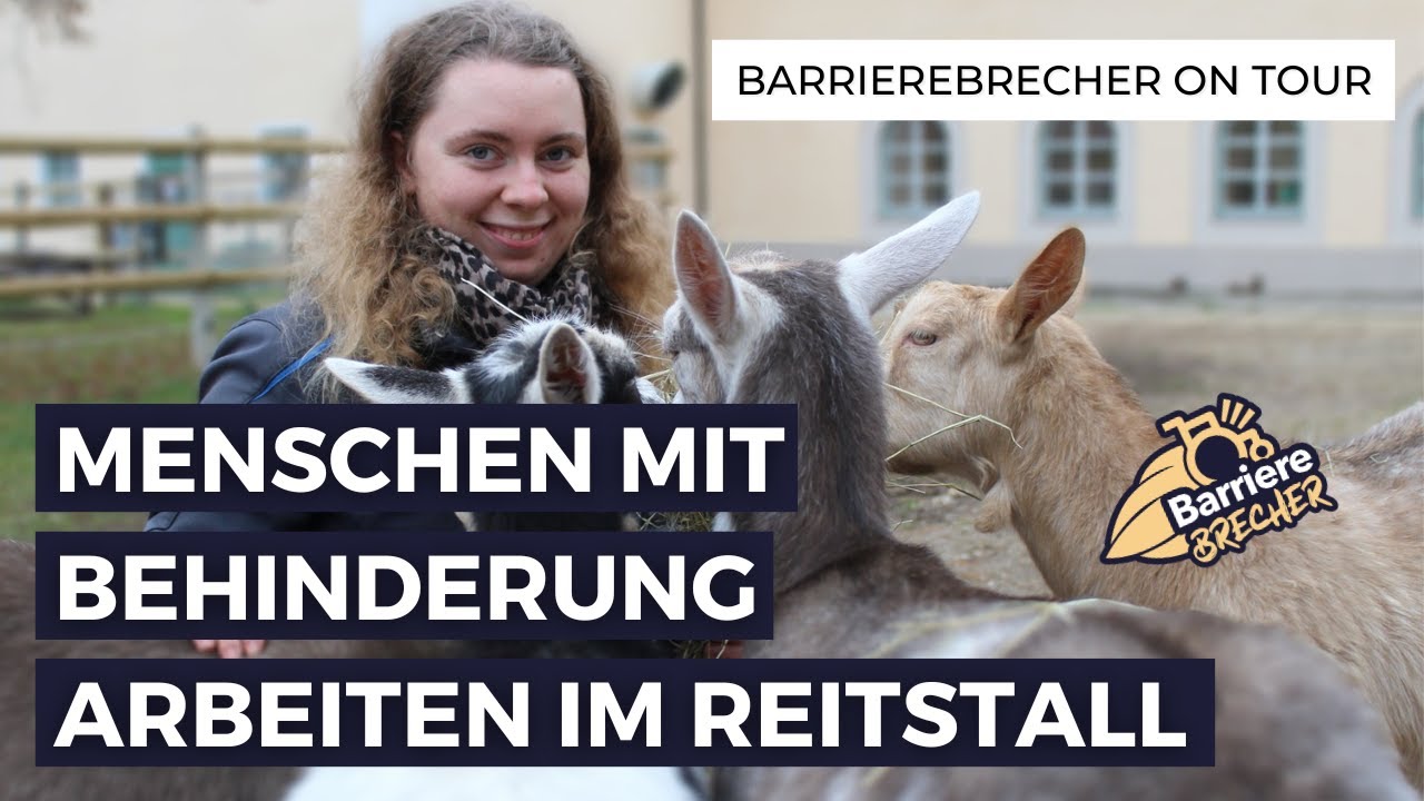 Tiergestützte Therapie - Menschen mit Behinderung arbeiten im Reitstall ...
