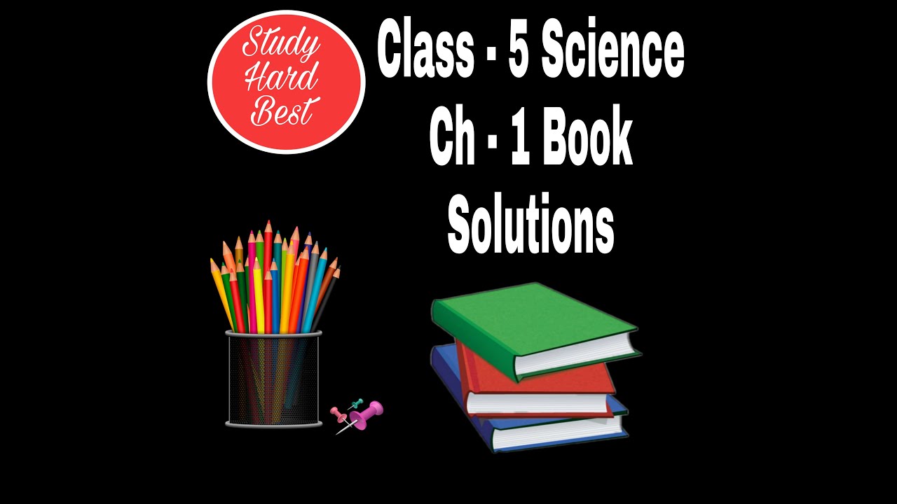 D A V Class 5 Science Ch 1 Book Solutions YouTube d-a-v-class-5-science-ch-1-book-solutions-youtube