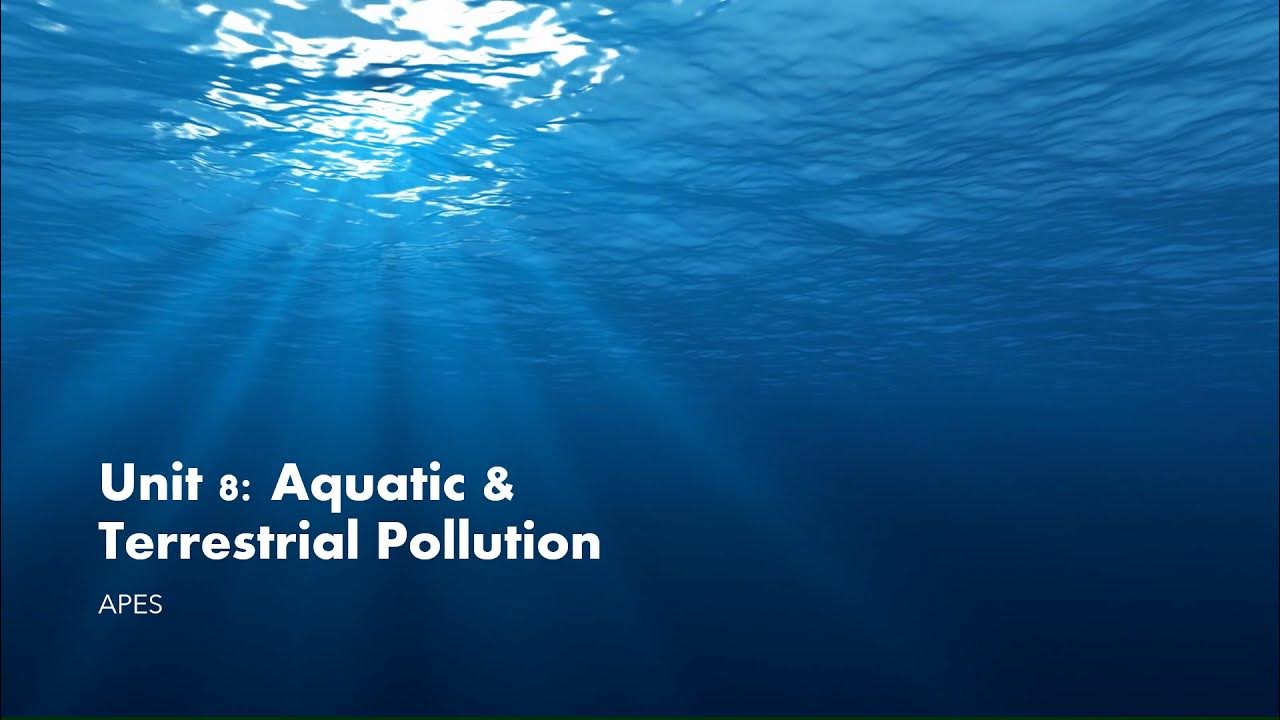 Unit 8 Aquatic & Terrestrial Pollution Review - YouTube