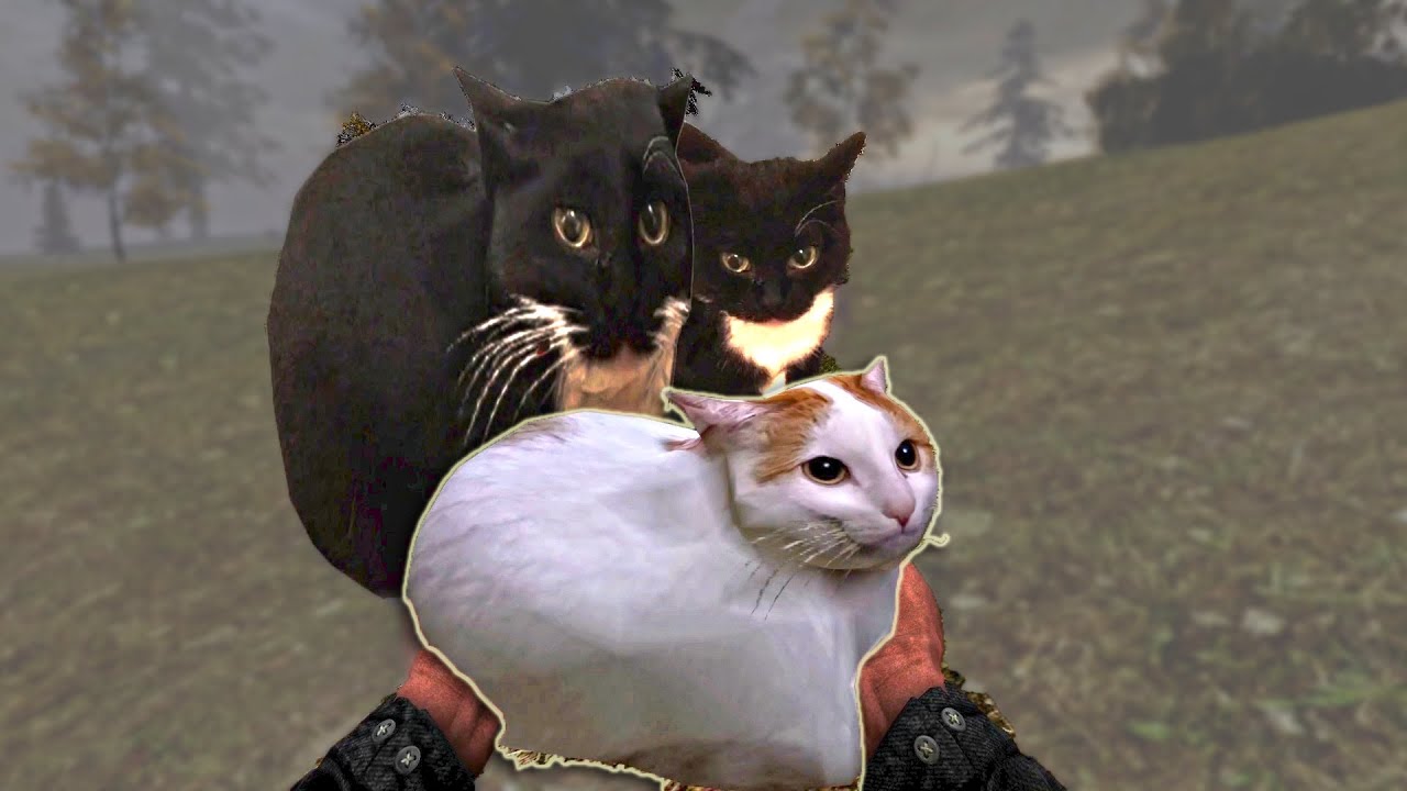Maxwell The Cat but it's gmod - YouTube