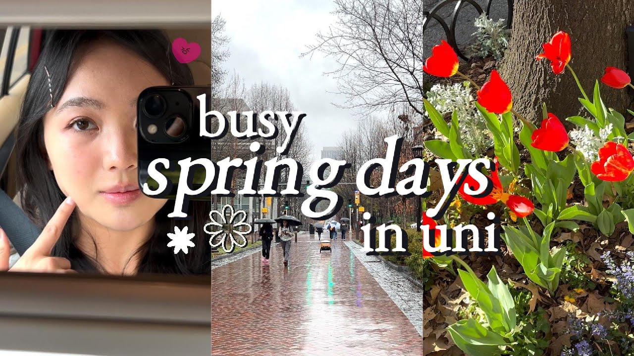 productive days in spring semester [VLOG]: balancing commitments ...
