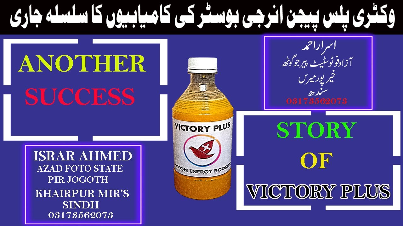 Another Success Story Of Victory Plus Pigeon Energy Booster From Khair ...
