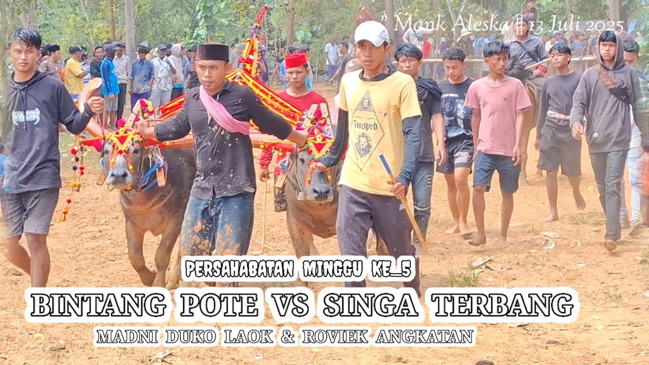 BINTANG POTE & SINGA TERBANG || FULL 2 ABERAN || LGPI - YouTube