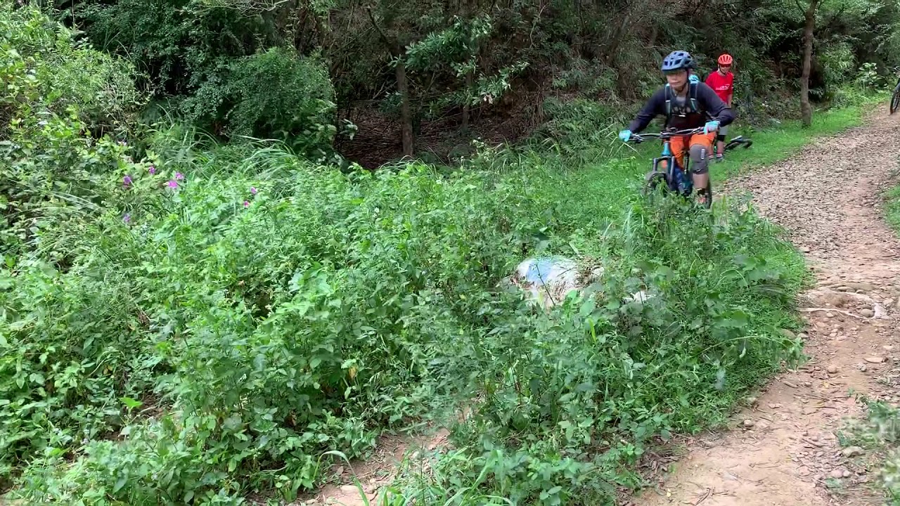 IMG 7140 YouTube img-7140-youtube