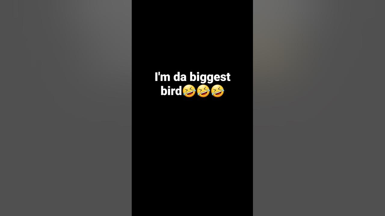 Da Biggest Bird Youtube