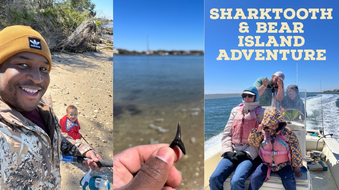 Shark tooth & Bear Island- Day 4 Emerald Isle Adventure #seashells # ...