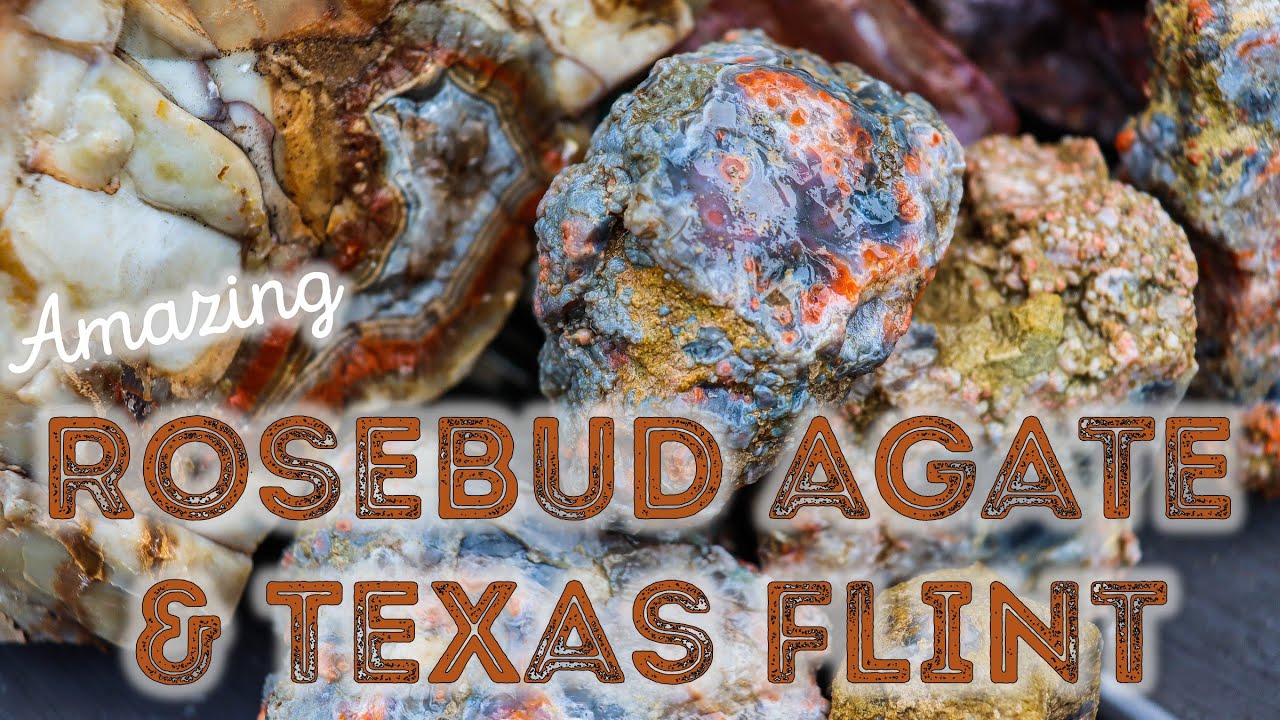 Beautiful Rosebud Agate and Intricate Texas Flint from an Amazing Rock ...