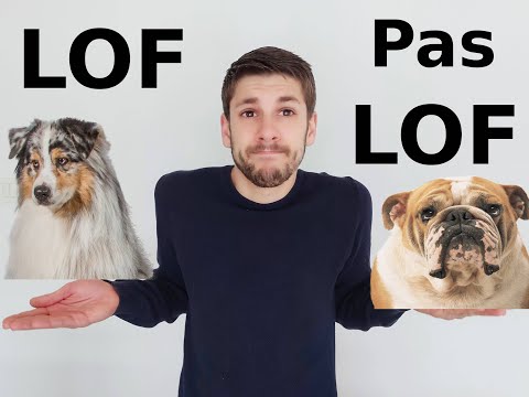Tout savoir sur le LOF - YouTube
