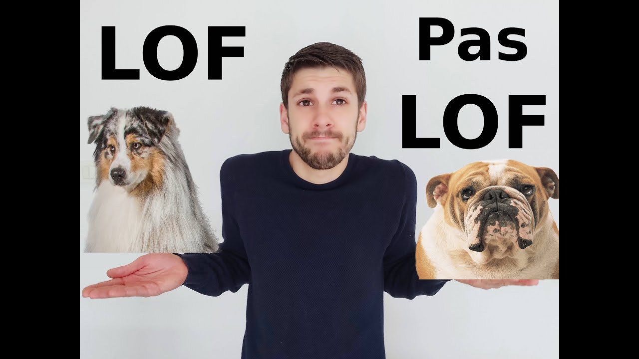 Tout savoir sur le LOF - YouTube