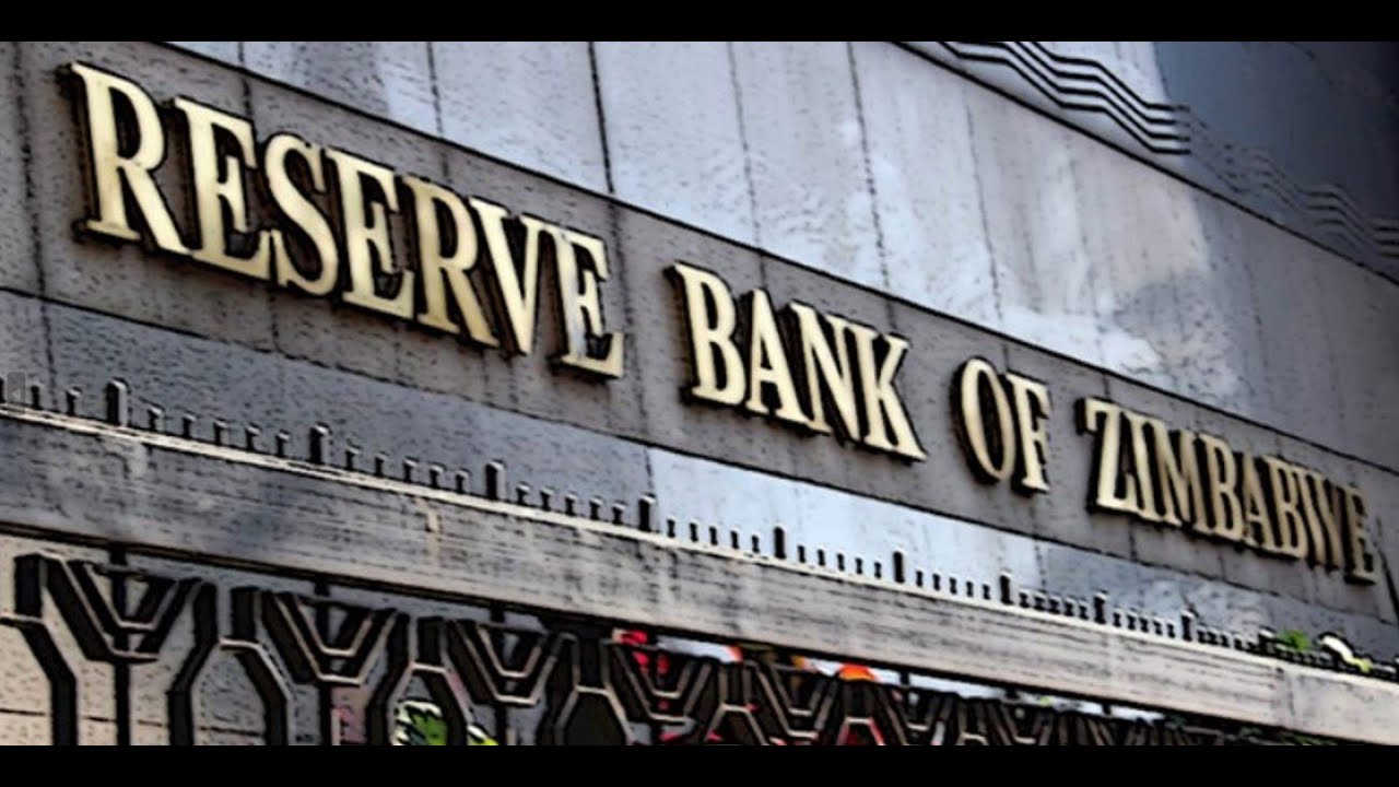 Zim dollar update for 12/12/22 - YouTube